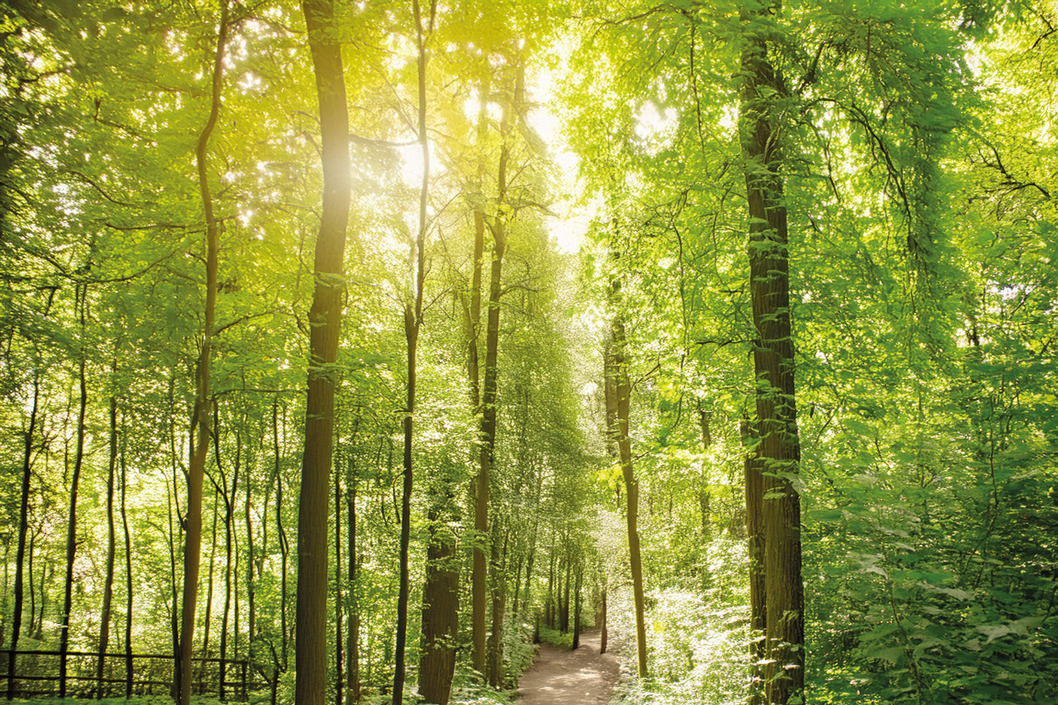 Conception de panneaux pédagogiques