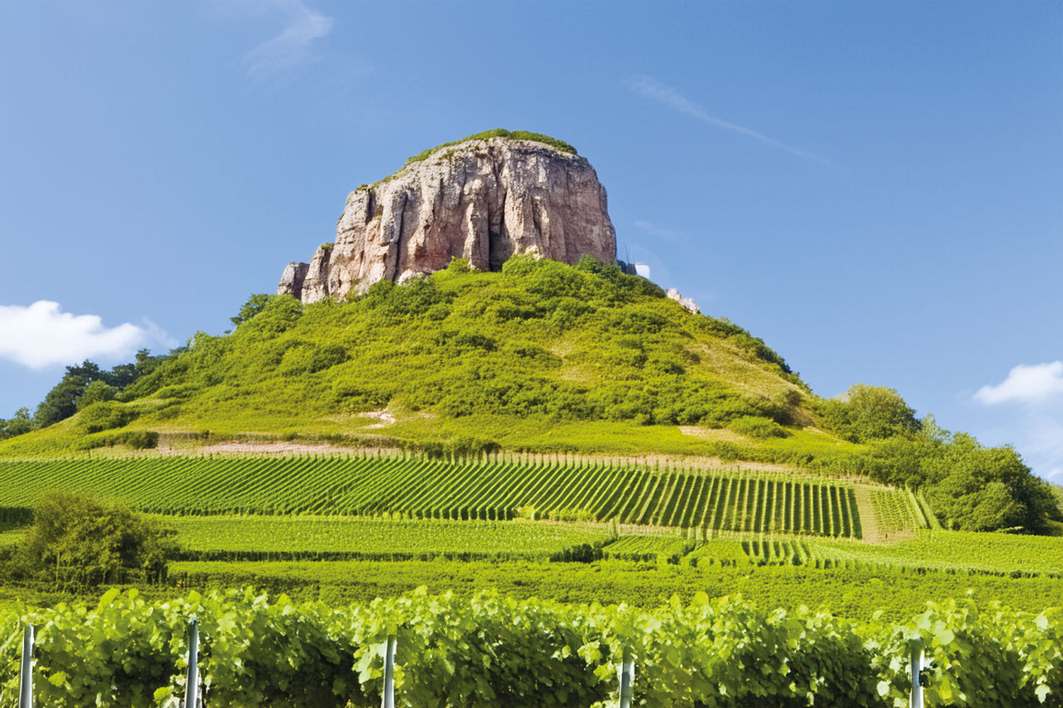 Conception de panneaux pédagogiques