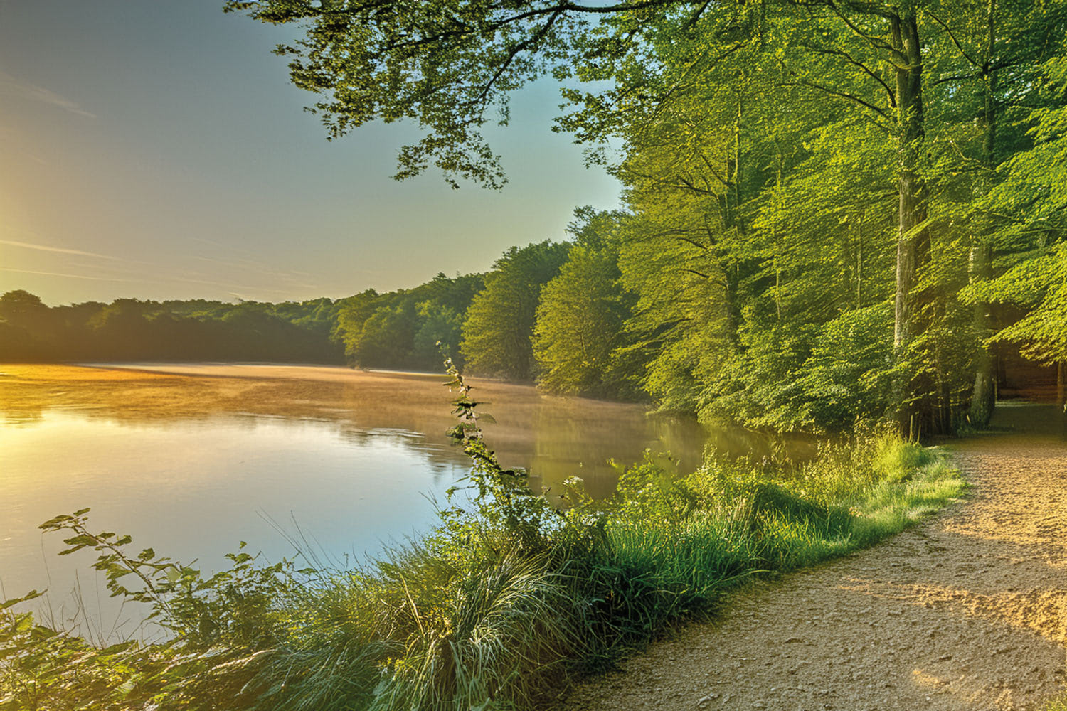 Conception de panneaux pédagogiques