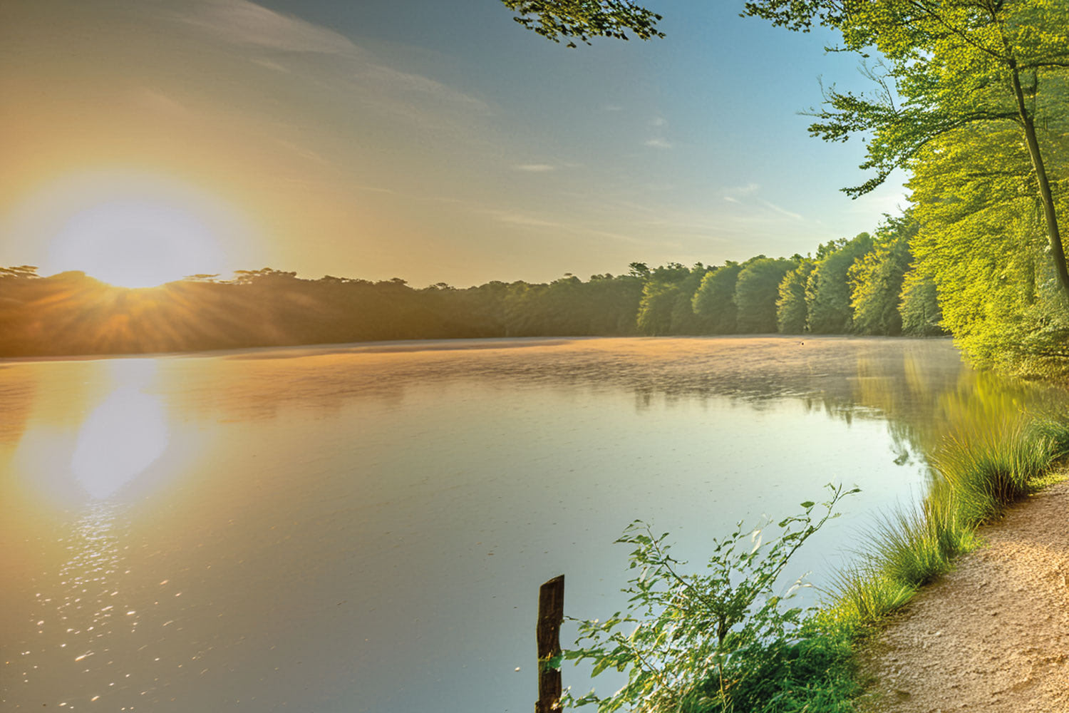 Conception de panneaux pédagogiques