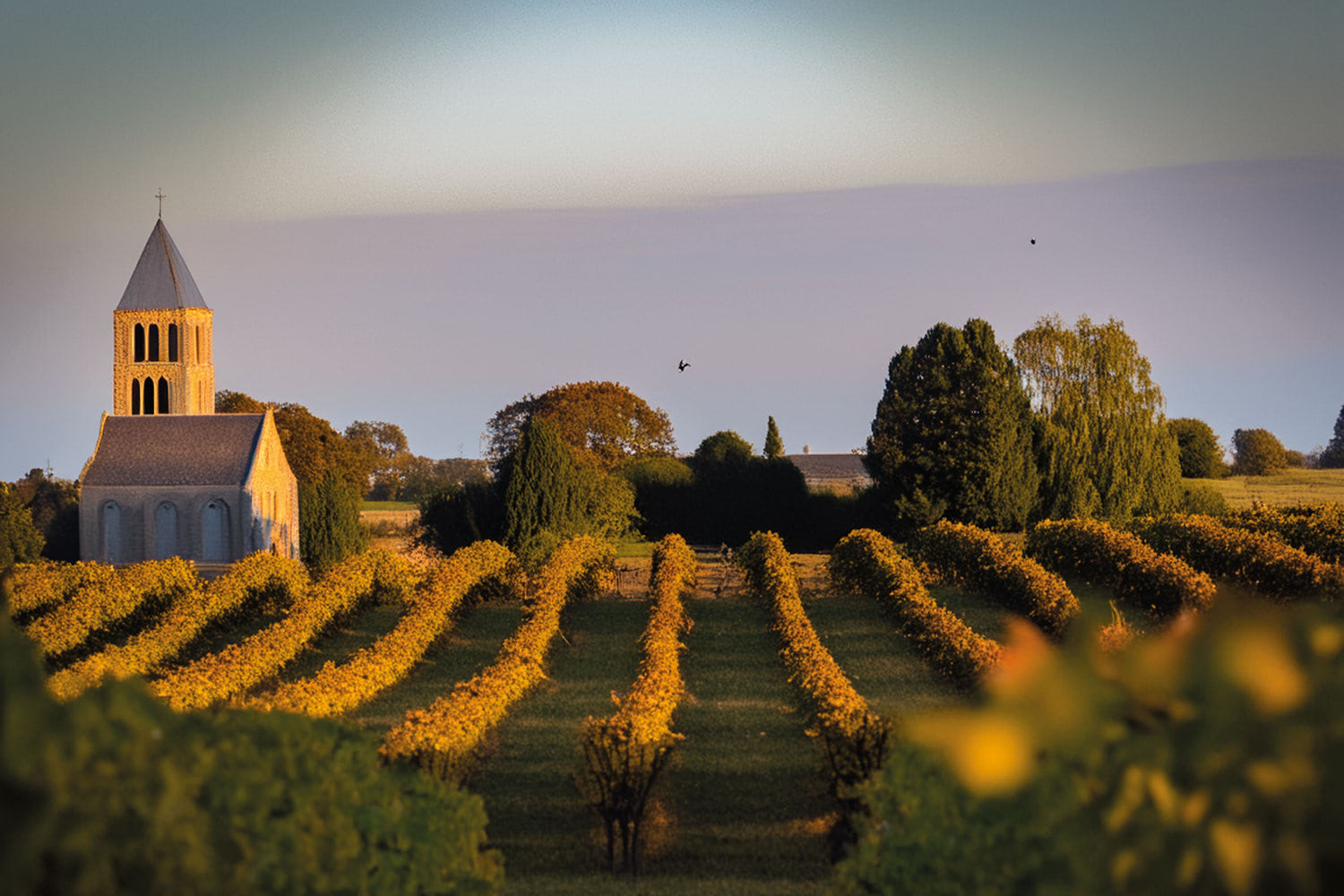 Conception de panneaux pédagogiques