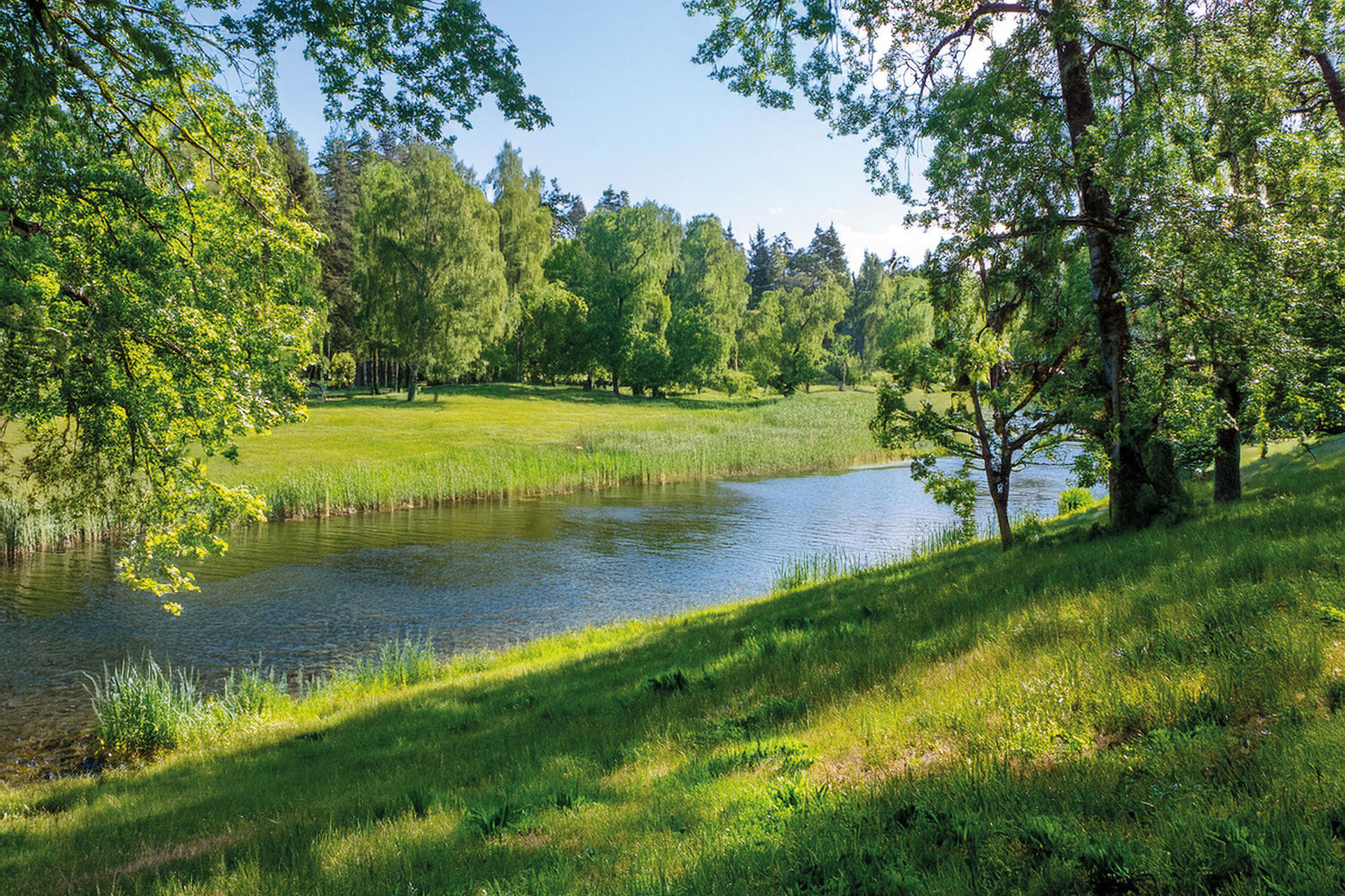 Conception de panneaux pédagogiques
